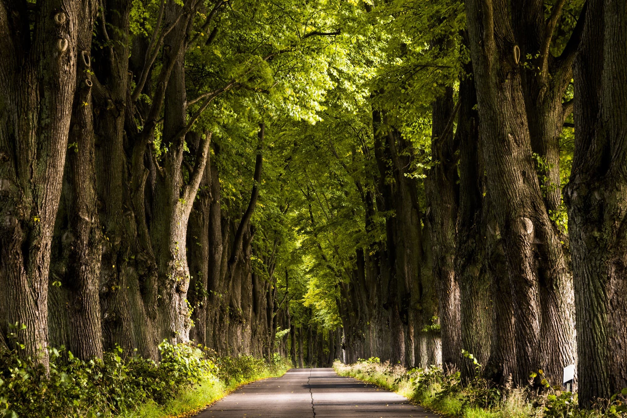 Krummin auf Usedom | Usedom.de